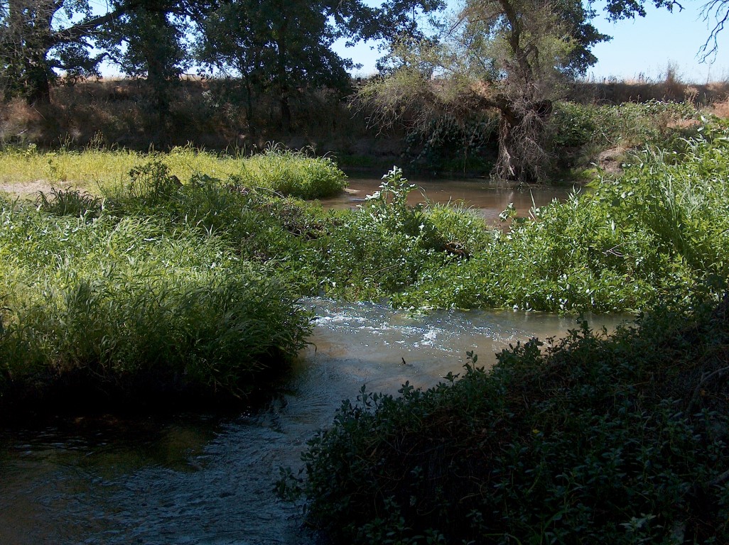 Reason Farms Environmental Preserve – Placer Land Trust