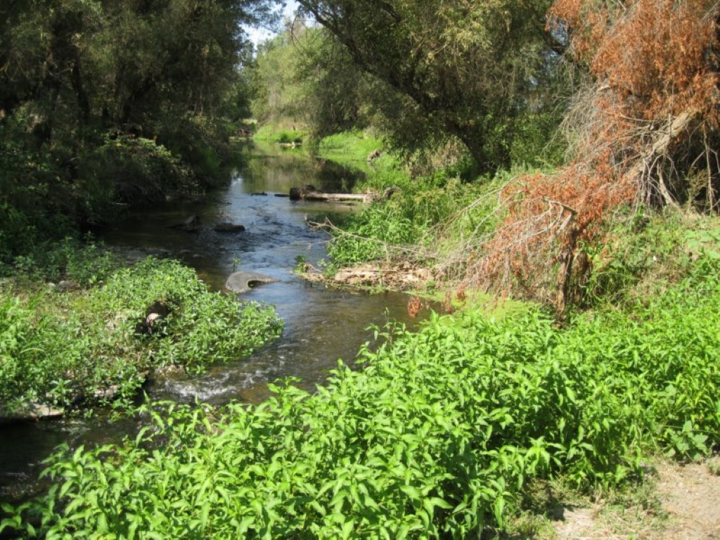 Reason Farms Environmental Preserve – Placer Land Trust