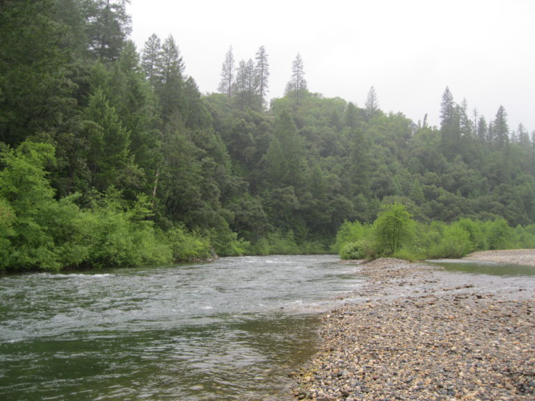 Bear River Pinecroft Reserve – Placer Land Trust
