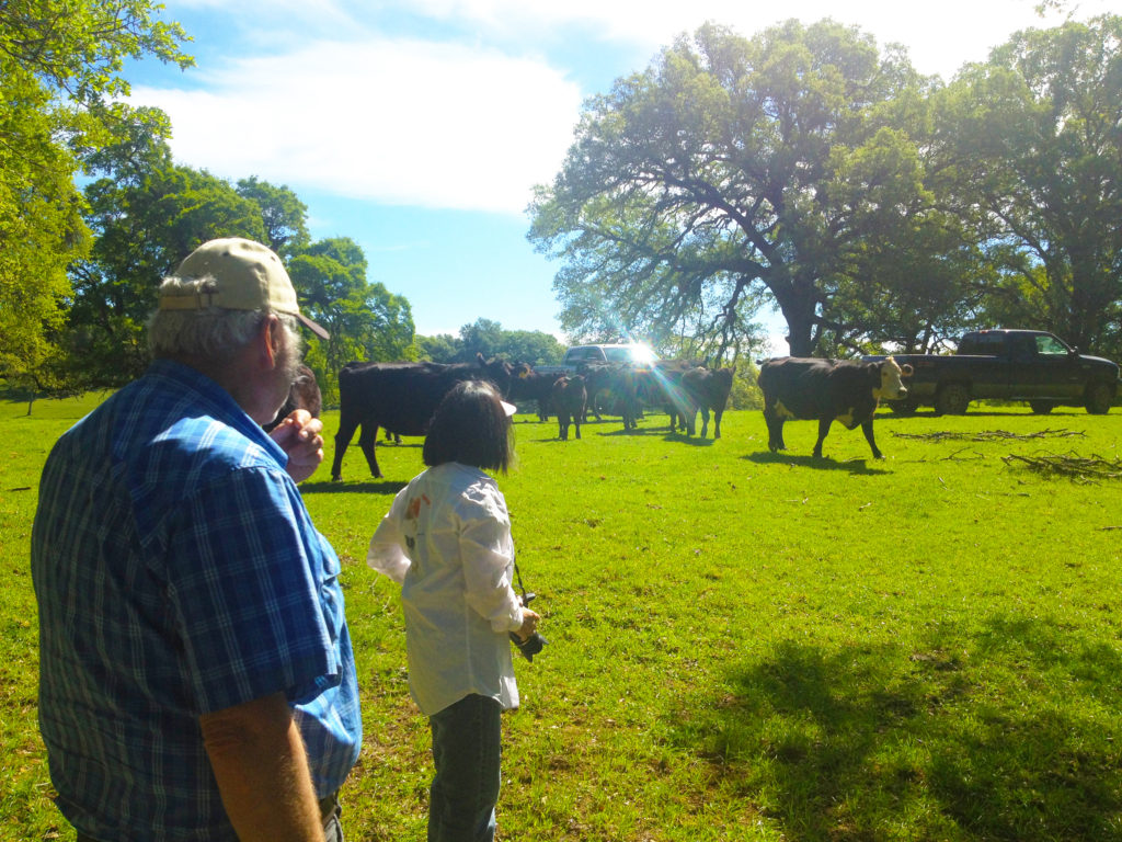Oest Ranch – Lone Star Preserve – Placer Land Trust