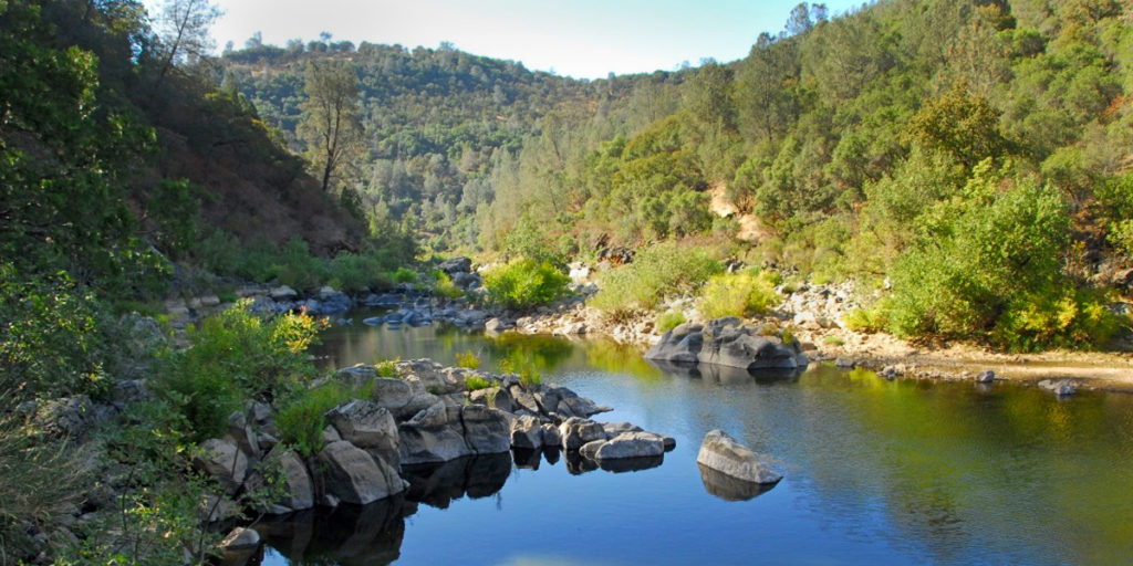Harvego Bear River Preserve – Placer Land Trust