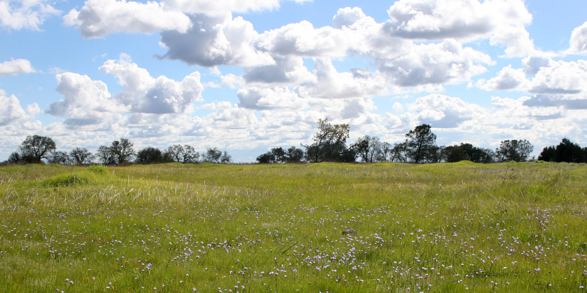Odayan Preserve – Placer Land Trust