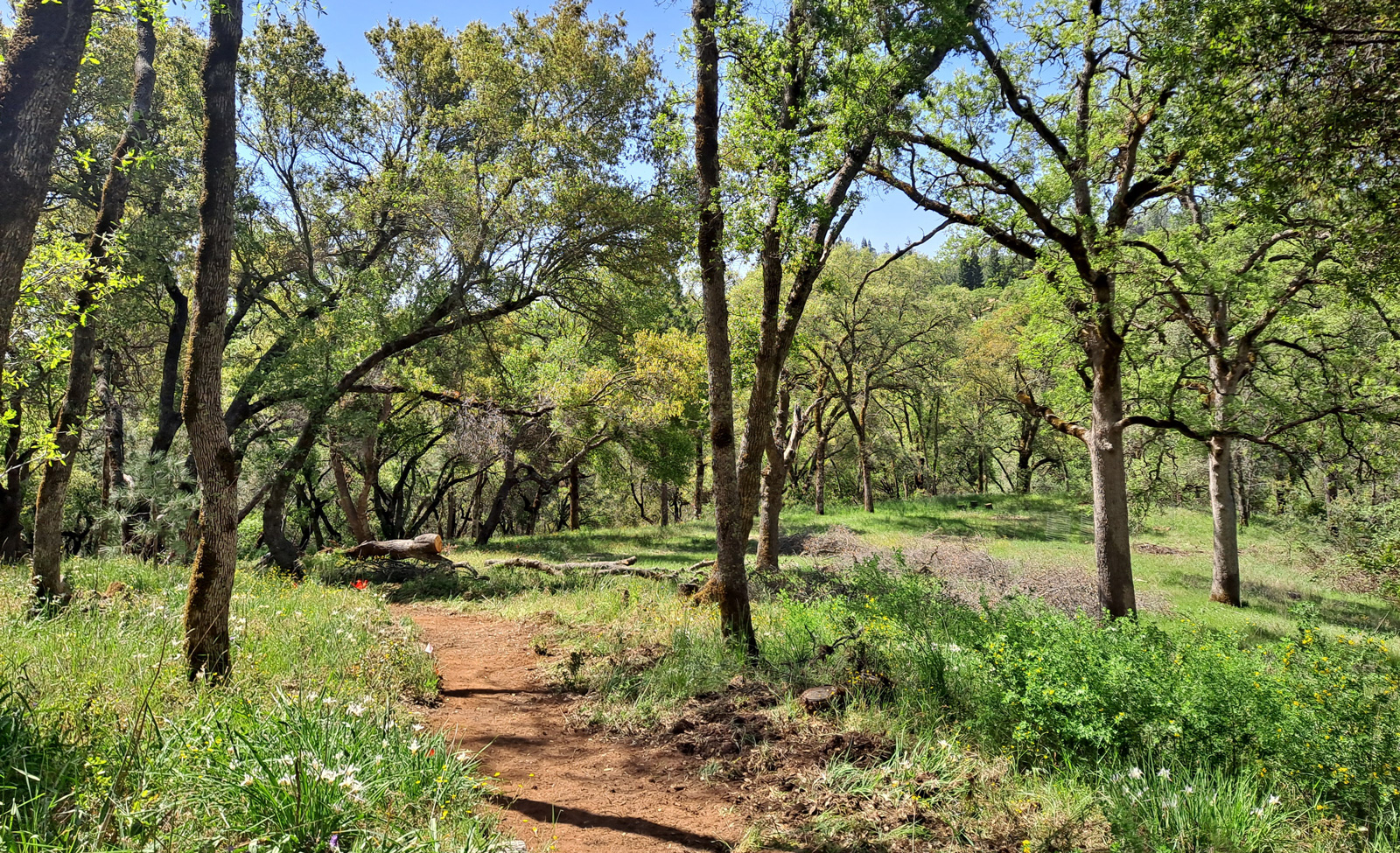 March 23 – Canyon View Preserve Anniversary Party – Placer Land Trust