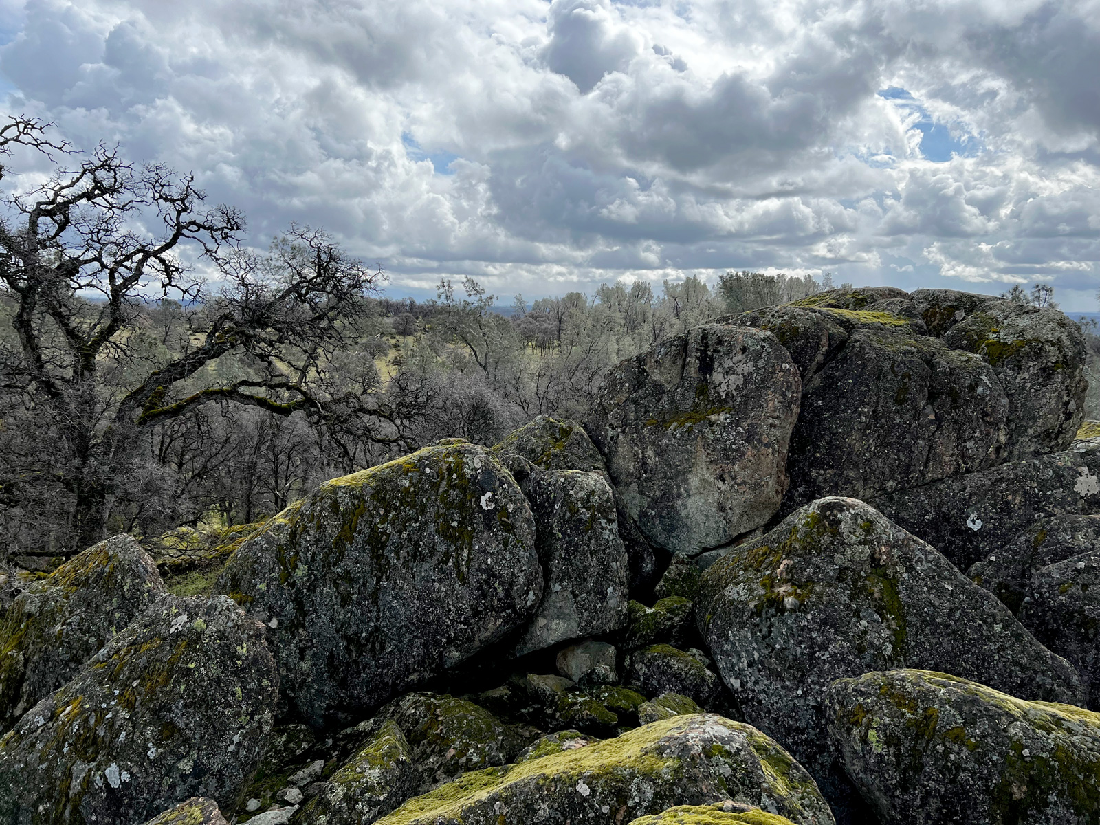 Kotomyan Vista Preserve – Placer Land Trust