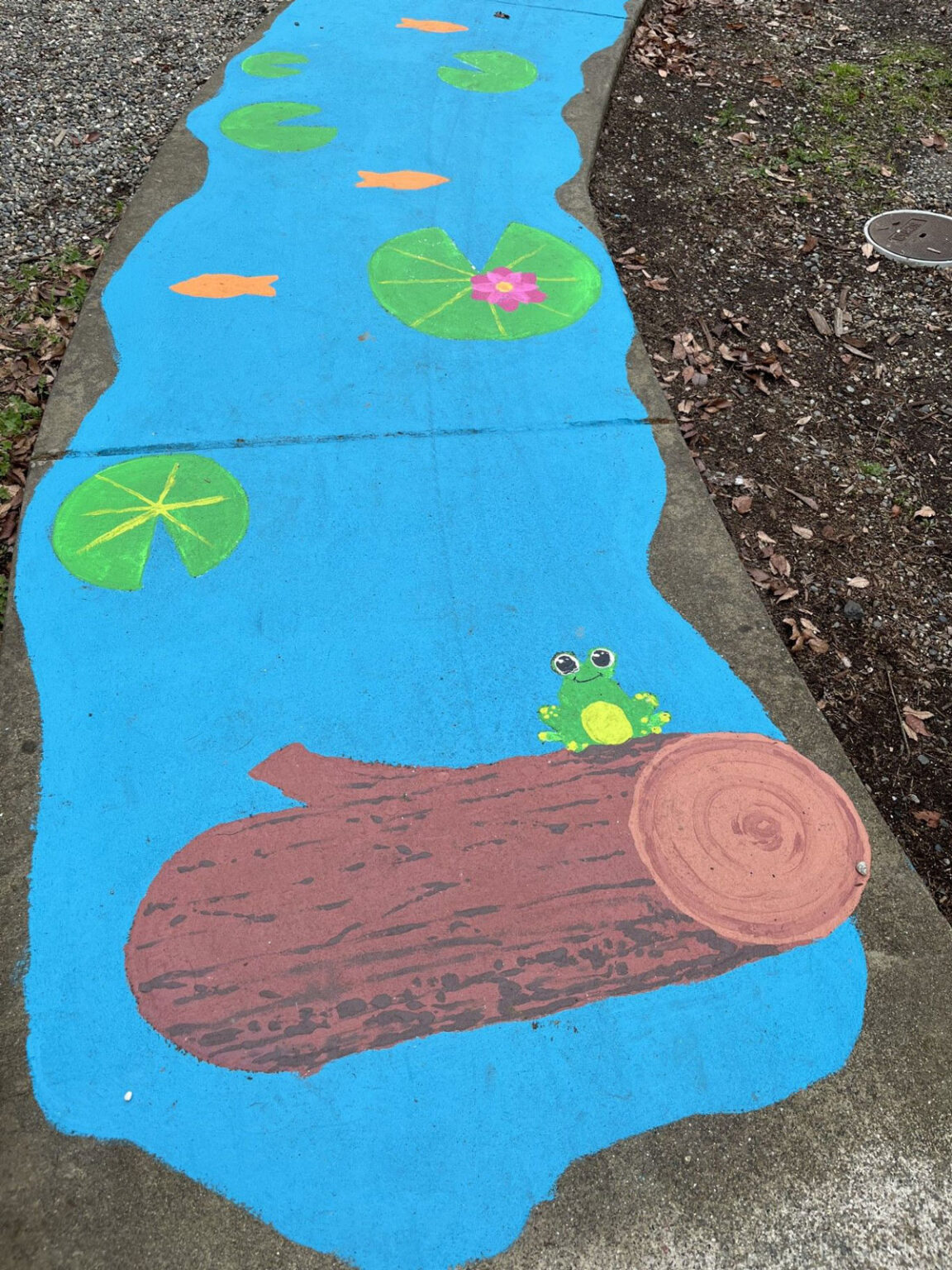 Eagle Scout Designs Nature-Themed Sensory Path – Placer Land Trust