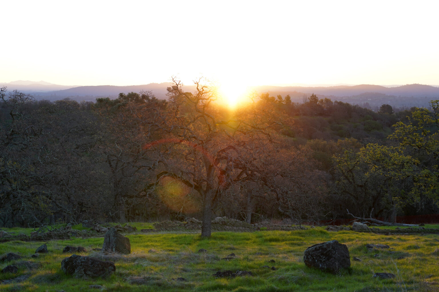 Clover Valley Preserve – Placer Land Trust