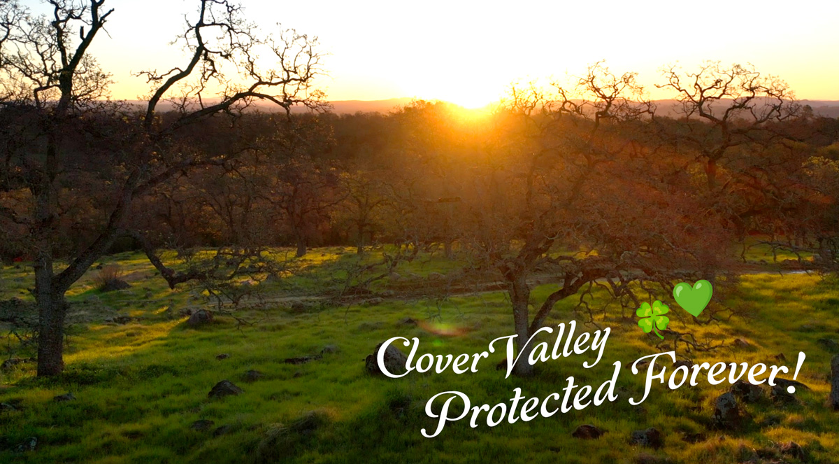 A bright new future for Clover Valley! – Placer Land Trust